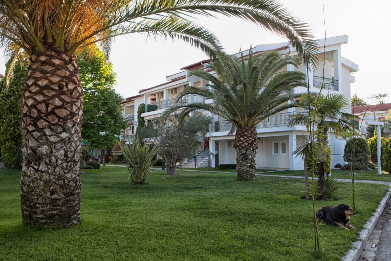 Vila Aristides Skala Furka Letovanje